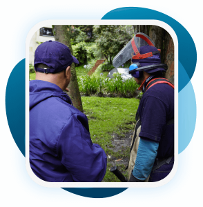 Productos de limpieza – Administraciones Brillamos