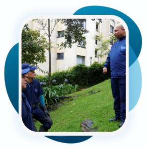 Productos de limpieza – Administraciones Brillamos